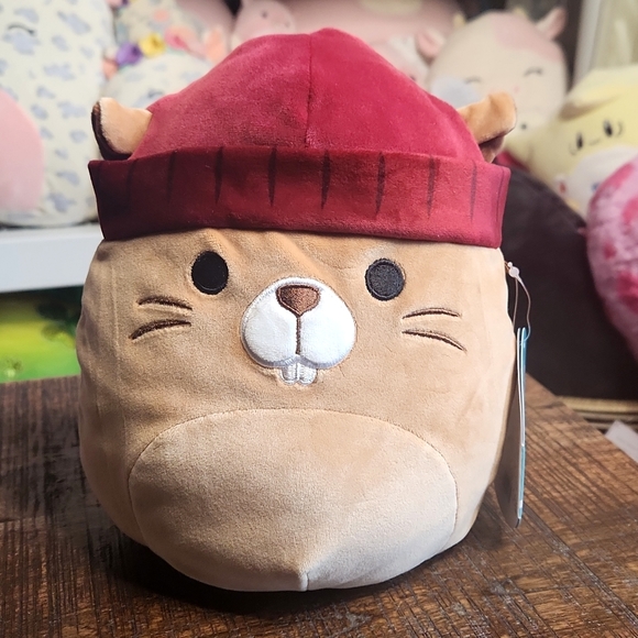 Squishmallows | Toys | Squishmallows Chip The Beaver With The Hat Fall ...